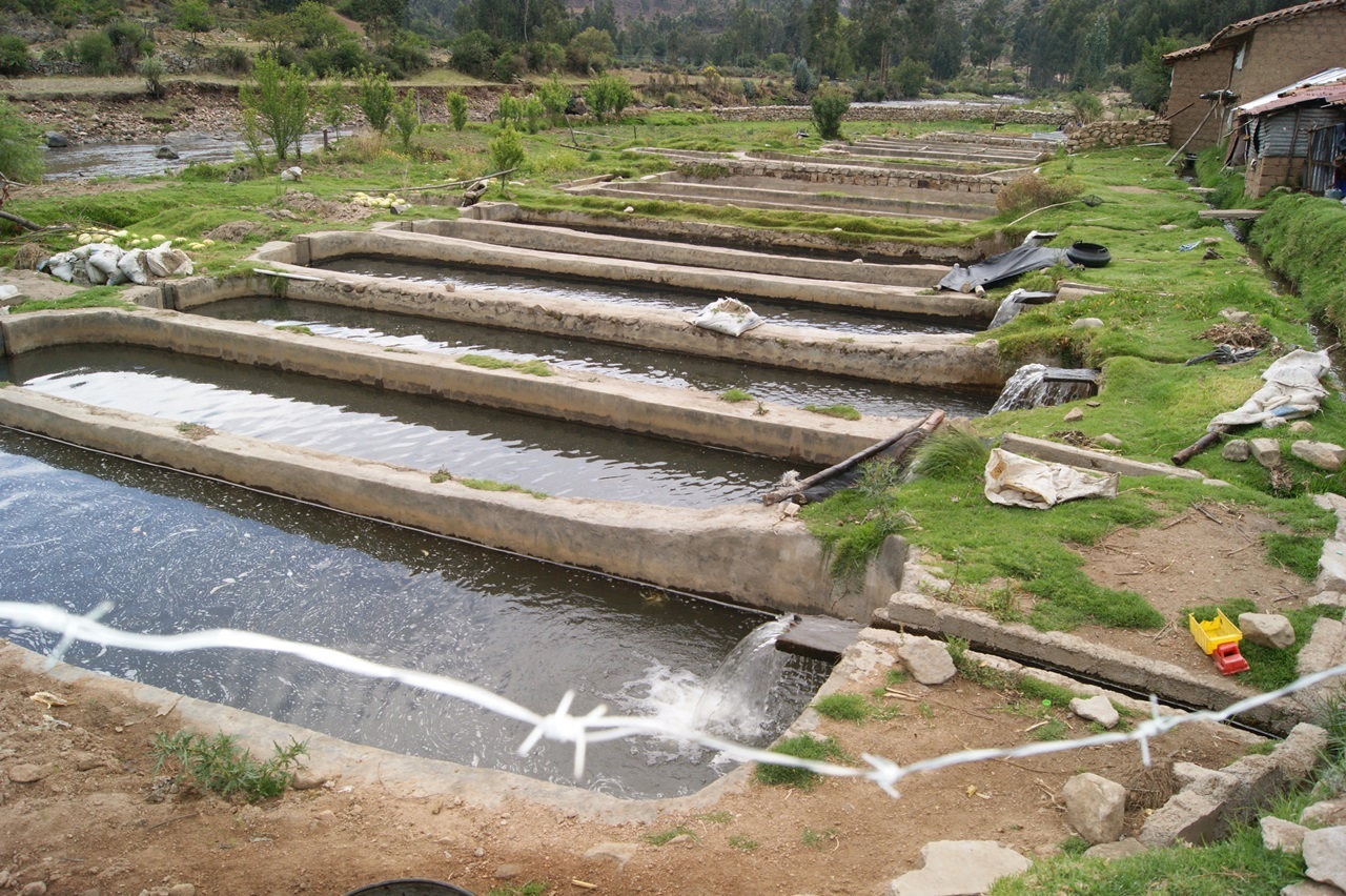 Superar la pobreza rural - Somos Iberoamérica / Somos Ibero-América